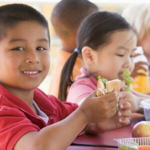 Healthy School Meals for All
